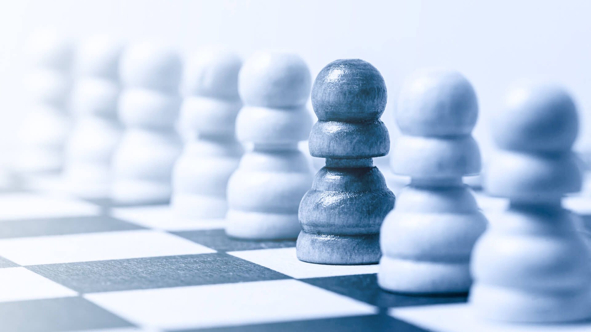 contact us - dinosecurity.co.uk